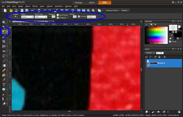 Editing Graphics with Bitmap Software